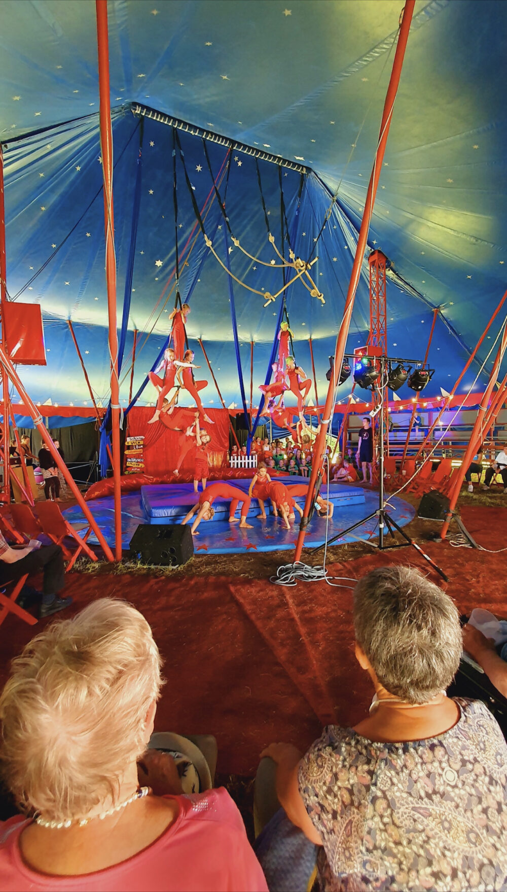 Zu Besuch im Zirkus - tagestreff